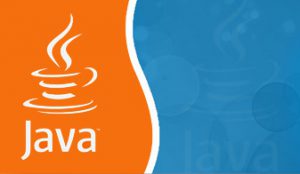 Android ASP DOT Net SEO Web designing Php Python Training