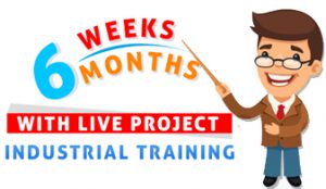 Android ASP DOT Net SEO Web designing Php Python Training