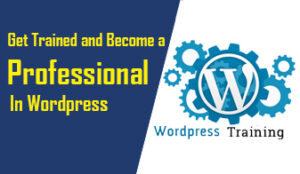 Android ASP DOT Net SEO Web designing Php Python Training